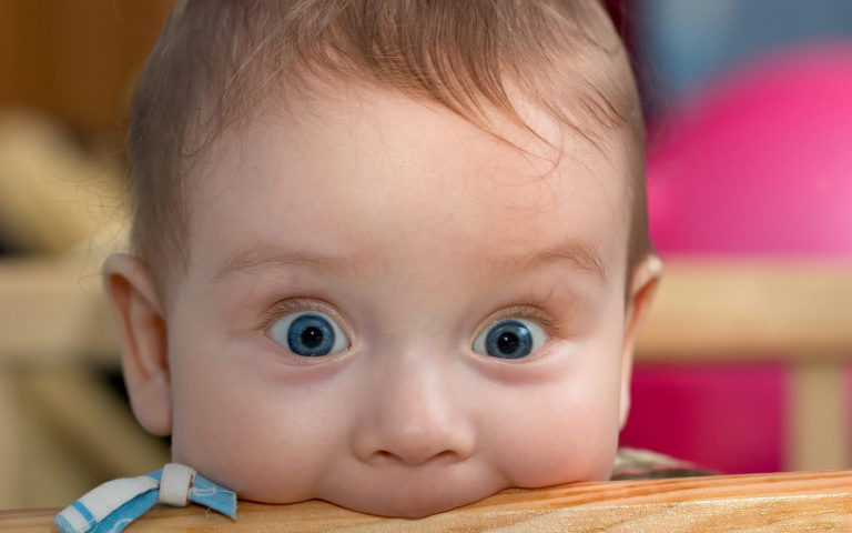 How To Stop A Child From Biting In Daycare SmartMommies how-to-stop-a-child-from-biting-in-daycare-smartmommies
